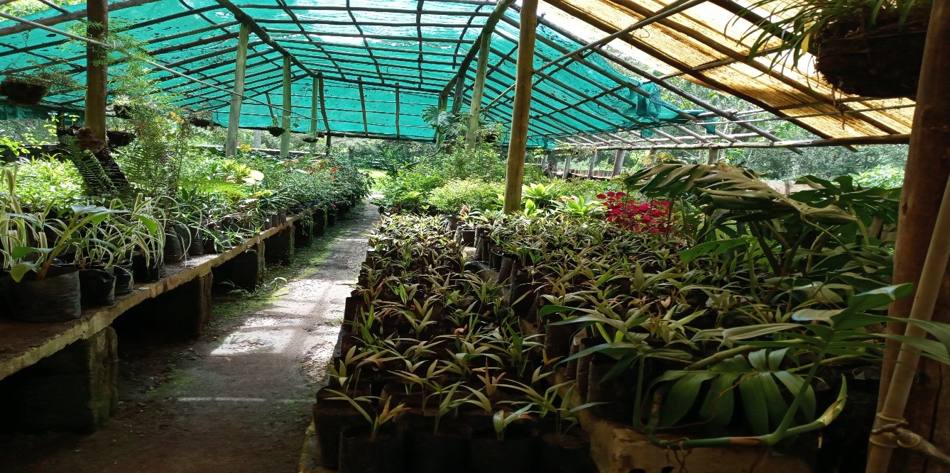 vumba - Visit Manicaland Manicaland Tourist Information